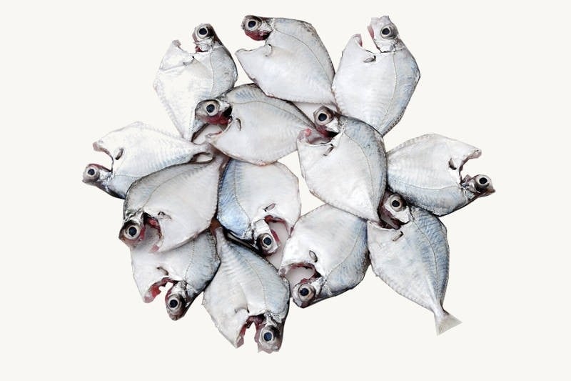Kerala Pony Fish / Mullan - Whole Cleaned : Buy online | freshtohome.com