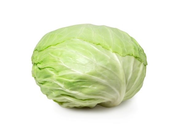 Cabbage White Organic - 1 Unit : Buy online | freshtohome.com