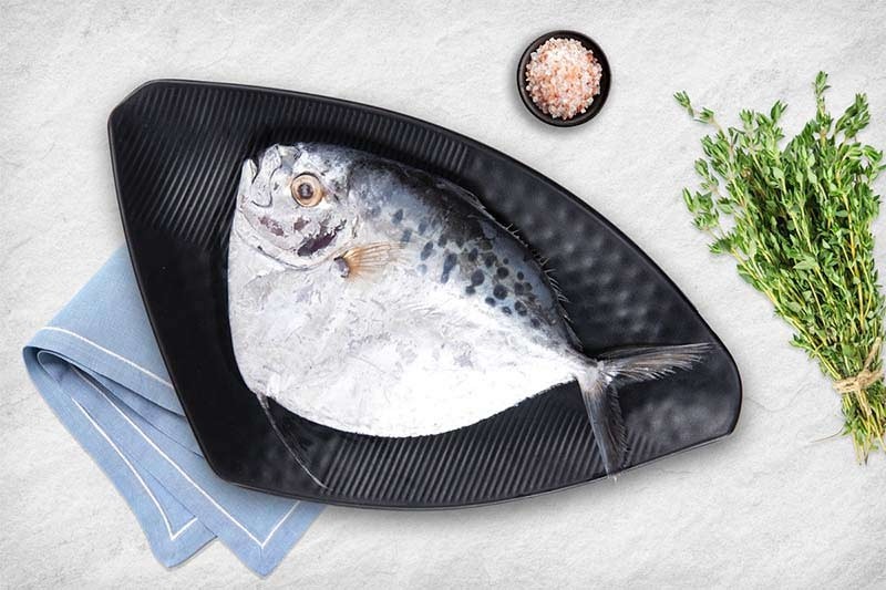 Silver Belly /سمك بدح /Avoli Mullan : Buy online | freshtohome.com