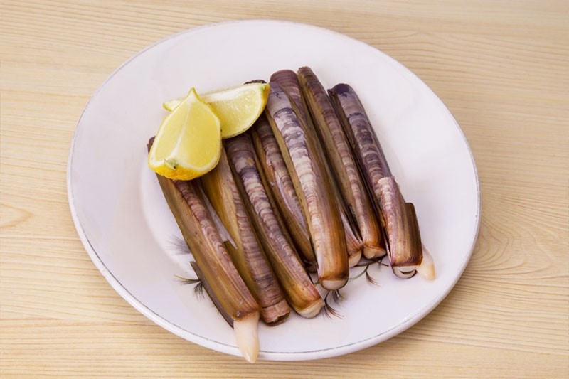 Closed Razor Clams : Buy online | freshtohome.com