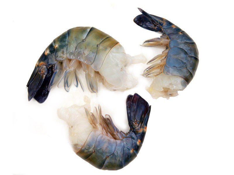 Lobster Scampi / Attukonchu / Jinga / Golda Chingdi (Large) - Headless ...