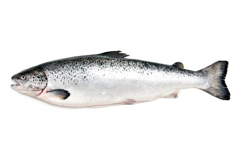 Smoked Scottish Salmon : Buy online | freshtohome.com