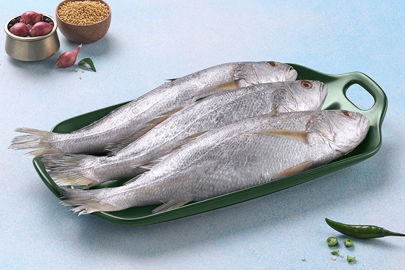Silver Croaker / Kora / Bhola / ভোলা - Whole : Buy online | freshtohome.com