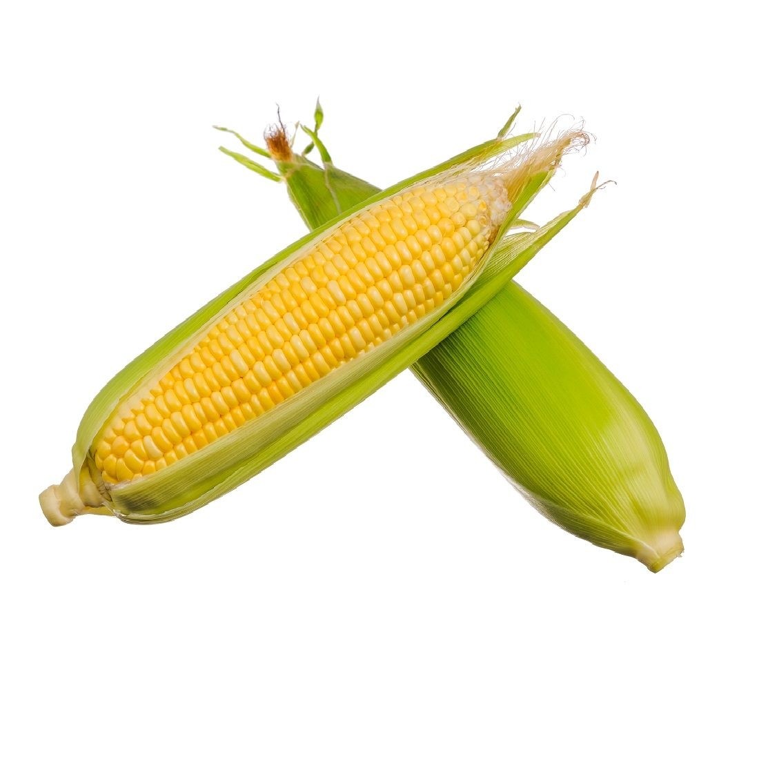 Sweet Corn ME (400g Pack) : Buy online | freshtohome.com