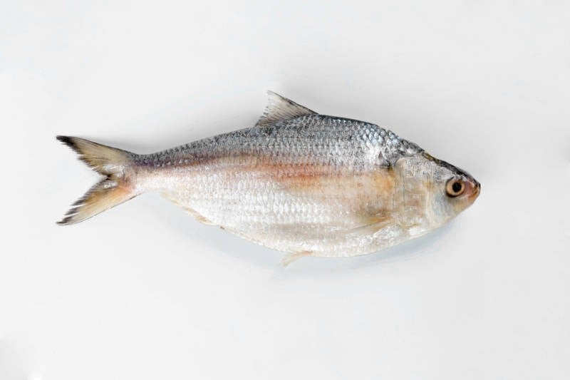 Ambattan paara : Buy online | freshtohome.com