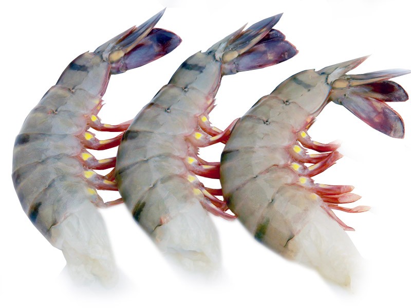 Tiger Prawns (Large) - Headless (No Head, Rest with shell, tail) : Buy ...
