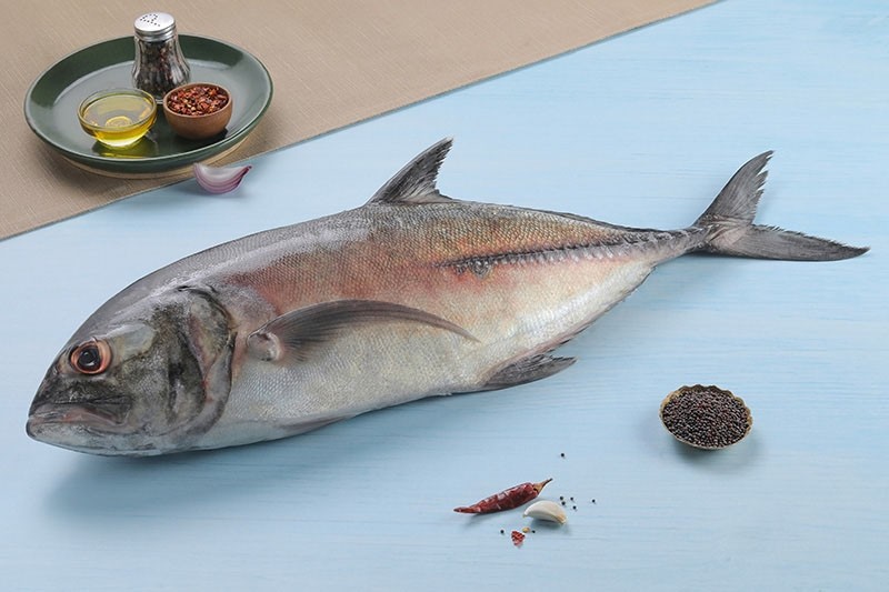 Trevally / جش صال / Vatta (Large) : Buy online | freshtohome.com