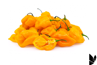 Chilli Habanero Yellow (HL) - (Pack of 100g) : Buy online | freshtohome.com