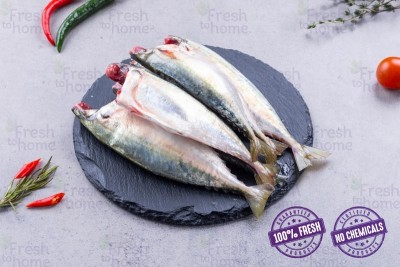 Mackerel / Garfa / Ayala / Bangda (Small) - Whole Cleaned : Buy online ...