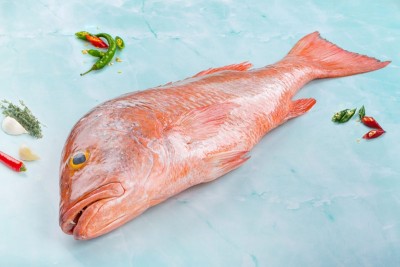 Red Snapper / الحمراء / Chempalli (Large) : Buy online | freshtohome.com