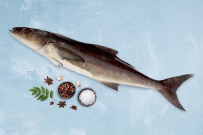Cobia / Motha : Buy online | freshtohome.com