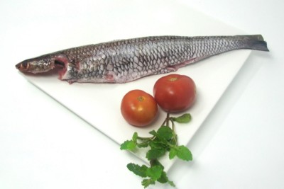 Lizard Fish / Macarona / Kada Varaal - Whole Cleaned : Buy online ...