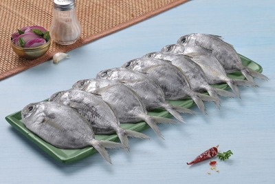 Neymeen Parava / سمك الجش الأبيض : Buy online | freshtohome.com