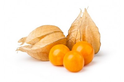 Physalis (CO) - Pack of 100g / فاكهة الحرنكش (فيساليس) : Buy online | freshtohome.com