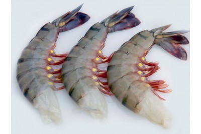 Tiger Prawn / Bagda Chingri - Headless (No Head, Rest with shell, tail ...