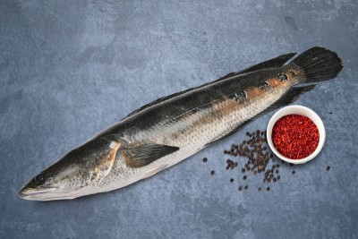 Snake Head Fish / Varaal / Bral / Kannan / Murrel - Whole : Buy online ...