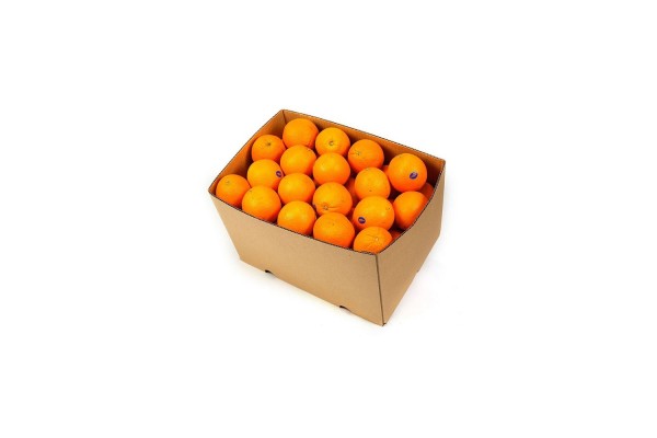 Orange Naval (ES) - 10kg Box | Abu Dhabi
