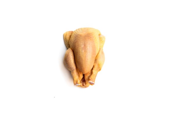 Free Range Poussin / Young Chicken Frozen - (450g to 500g) | Dubai