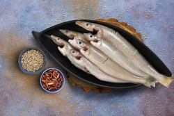 Lady Fish / أصابع الست / Hassom / Silver Whiting : Buy online ...