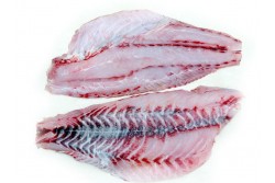 Red Snapper / Chempalli / Hamra (Large) : Buy online | freshtohome.com