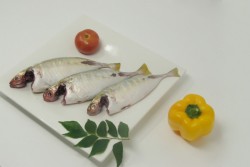 Shrimp Scad / Durduman / Vatta Paara (Medium to Large) : Buy online ...