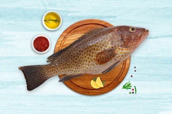 Grouper / Reef Cod / Hamour (Medium) | Manaparai