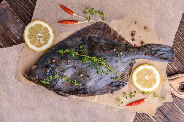 Indian Halibut / Ayiram Palli | Nizamabad